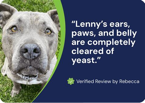 Fecal Microbiota Transplant Animalbiome