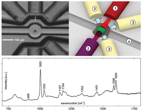 Top Left Trapped Polystyrene Sphere In The Middle Of The Trapping Download Scientific Diagram
