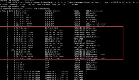 运维日记丨挖矿病毒应急处置思路 墨天轮