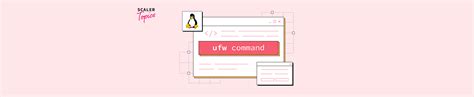 ufw command in linux scaler topics