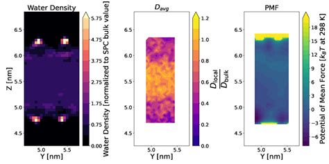 Water Density Local Diffusion Coefficient And Potential Of Mean Force Download Scientific