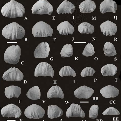 Flow Diagram Of The Multiphase Low Meter Haimo Mpfm 1 Temperature