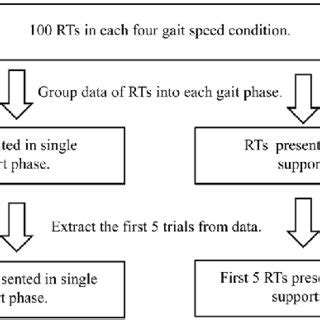 Process Used For Extracting The RT Data Download Scientific Diagram