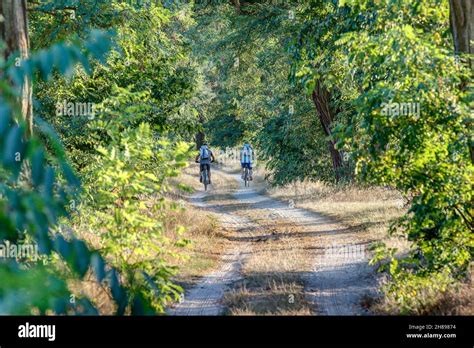 Cyclists On A Winding Path In Nature Stock Photo Alamy