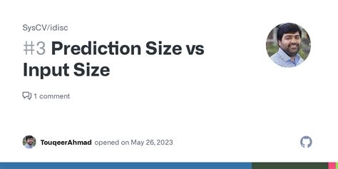 prediction size vs input size · issue 3 · syscv idisc · github