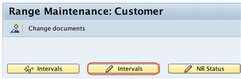 create number ranges for customer account groups in sap