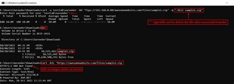 Curl Exe 28 Января 2024 W