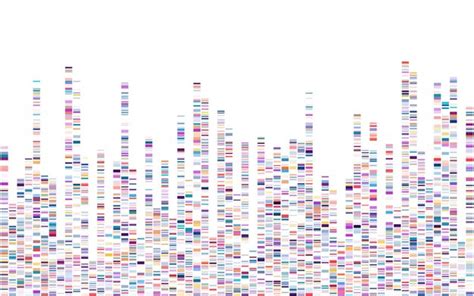 Premium Vector Dna Test Infographic Genome Sequence Map