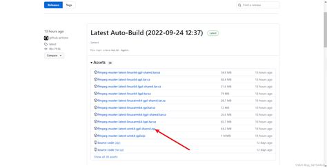 安装ffmpeg及配置 Ffmpeg格式之间的转换ffmpeg 新编译的版本怎么切换 Csdn博客