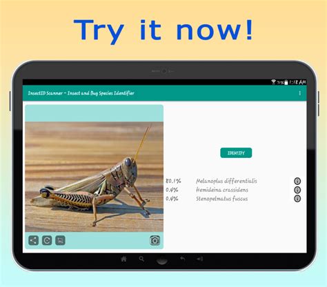 Insectid Scanner Insect And Bug Species Identifier Apk สำหรับ Android
