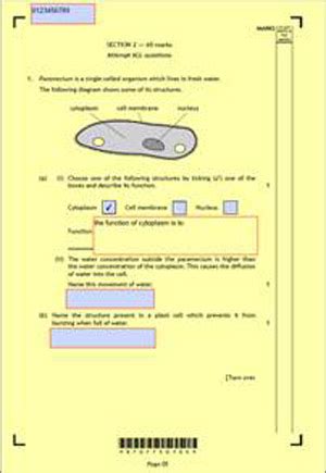 Add Text Boxes With Adobe Reader