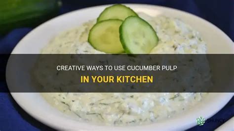 Creative Ways To Use Cucumber Pulp In Your Kitchen Shuncy