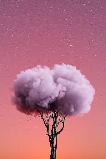 3d 렌더링 Abstact 무대 연단 배경 꿈의 배경 분홍색 하늘과 일몰의 별의 구름 나무 제품 디스플레이 모형 및 쇼케이스 0명에 대한 스톡 사진 및 기타 이미지 Istock