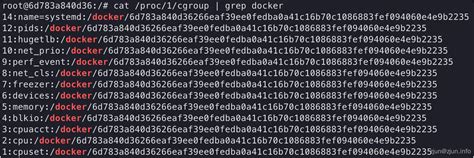 一些 Docker 逃逸漏洞 Zjuns Blog