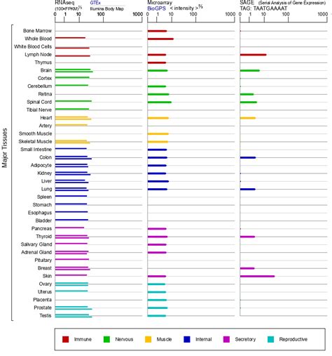 Cript Gene Genecards Cript Protein Cript Antibody