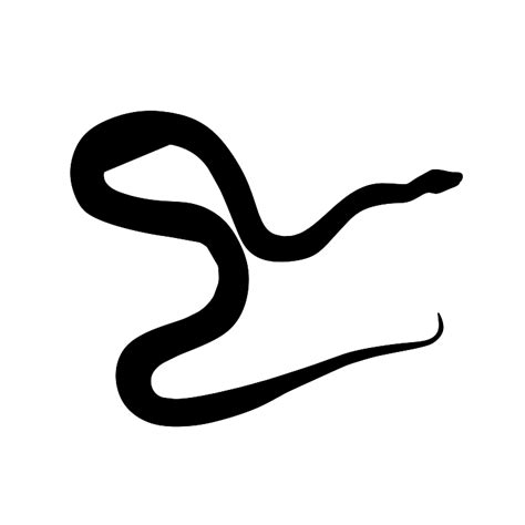 Reticulated Python Malayopython Reticulatus Dimensions And Drawings