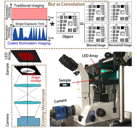 Publications Tian Lab
