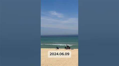 주문진 소돌해변 조개잡기명소 동해 조개잡이 Youtube