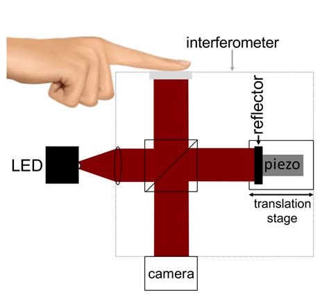 Simplified Scheme Of Ff Oct Fingerprint Sensor Download Scientific Diagram