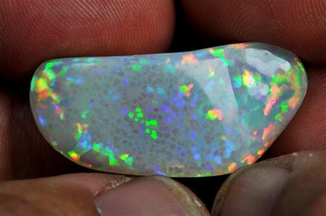 OPAL PORN