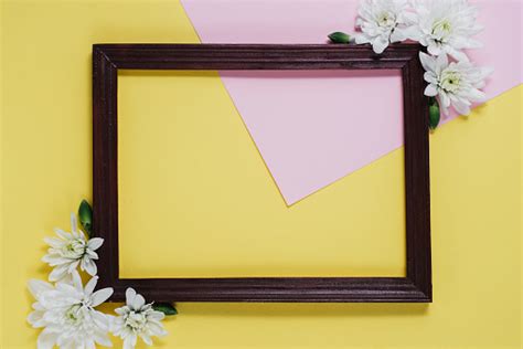 봄 꽃과 창조적 인 구성 흰색 꽃과 파스텔 핑크와 노란색 배경에 나무 프레임 플랫 레이 평면도 복사 공간 0명에 대한 스톡 사진 및 기타 이미지 Istock