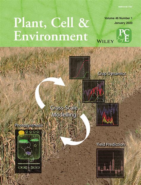 High‐throughput Phenotyping‐based Quantitative Trait Loci Mapping
