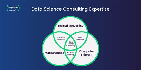 Data Science Consulting A Guide For Beginners