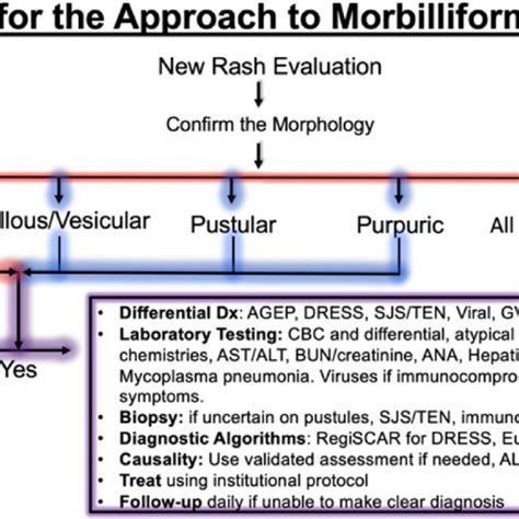 Pdf Morbilliform Eruptions Differentiating Low Risk Drug Eruptions