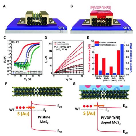 3d Schematic Diagram Of The A Pristine And B P Vdf Trfe Doped Mos