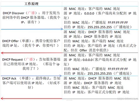 dhcp原理及实验 dhcp实验 csdn博客