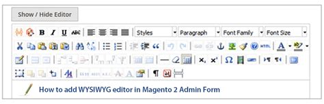 How To Add Wysiwyg Editor In Magento 2 Admin Form