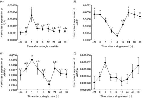 Normalised Expression Of The Insulin Like Growth Factor Igf System Download Scientific