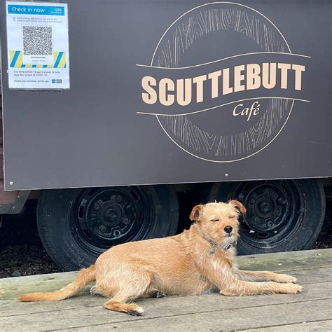 Scuttlebutt Cafe Home Facebook