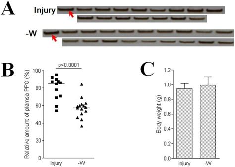 A Individual Plasma Ppo 05 µl Was Separated And Detected By A Download Scientific Diagram