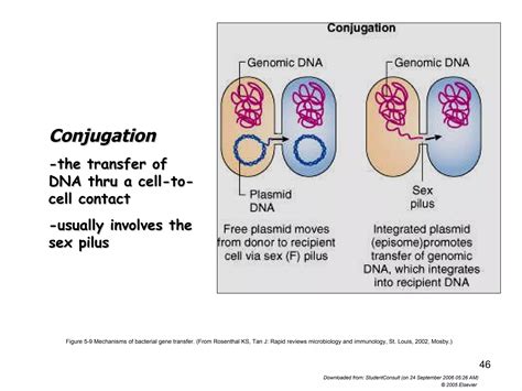 Basic Microbiology Ppt