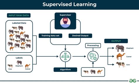 What Are The Key Differences Between Unsupervised And Supervised
