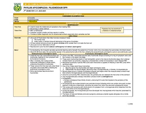 P Apicomplexa Plasmodium Spp Phylum Apicomplexa Plasmodium Spp 2 Nd Semester S 2022