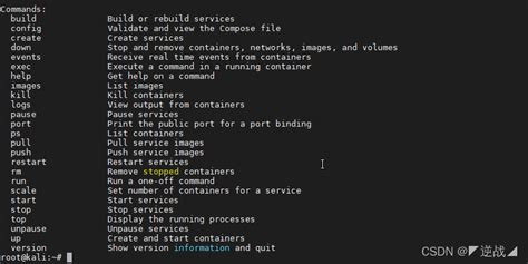 Kali安装docker（亲测有效）kali下载 Csdn博客
