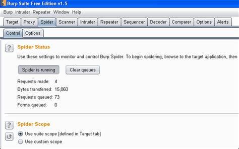 Manual Web Application Penetration Testing Introduction Infosec