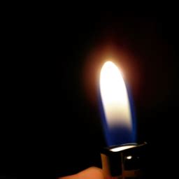 Code For Evaluation Metrics Issue Facebookresearch DiT GitHub