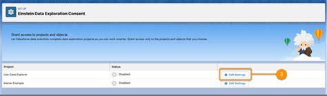 Allow Data Analysis With Einstein Data Exploration Consent