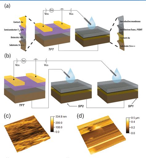 Figure 1 From Dual Gated Transistor Platform For On Site Detection Of Lead Ions At Trace Levels