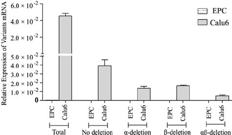 Real Time Rt Pcr Data The Analysis Of Rt Pcr Data Showed No Expression
