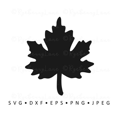 Maple Leaf Vector
