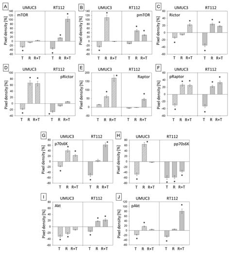 protein expression profile of targeted and signalling proteins a j