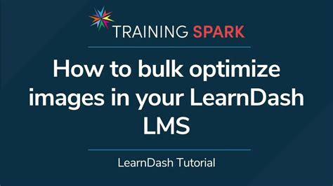 How To Optimize Images On Your Learndash Lms In Bulk