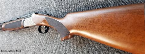 Legacy Sports International Pointer Acrius 12 Gauge Or 20 Gauge