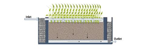 Vertical Subsurface Flow Constructed Wetlands 45 Download