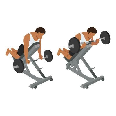 Page Incline Bench Press Vector Art Icons And Graphics For Free Download