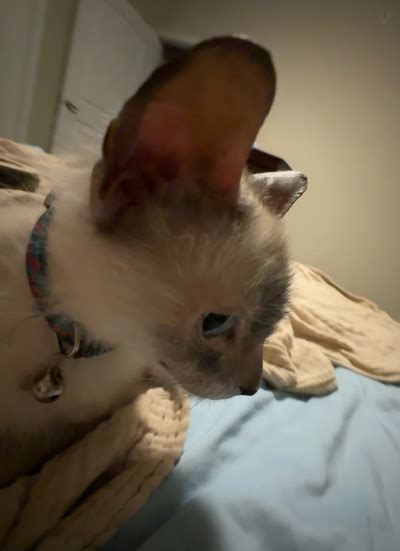 I Heard That Tumbex